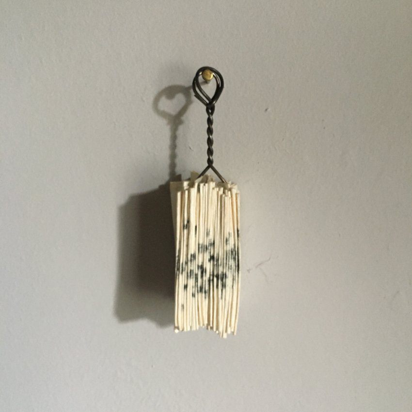 Bound Drawings | Sharon Adams